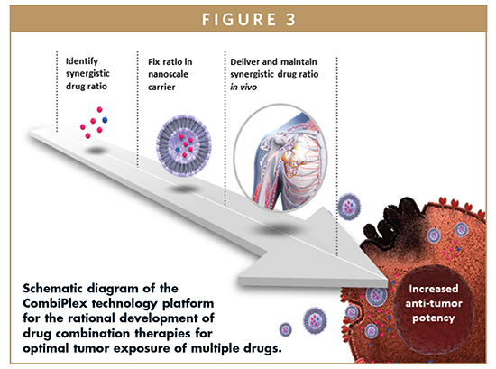 NANOSCALE COMPLEXES - A Novel Nanotechnology-Based Platform to Optimize ...