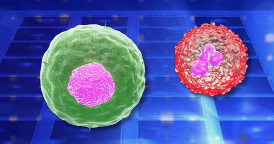 CELLSEARCH System Recognized as Landmark Innovation in Cancer Research