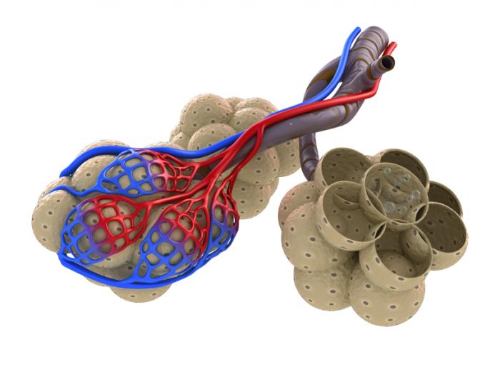 Chronic Obstructive Pulmonary Disease Treatment Pipeline Lacks Robust ...