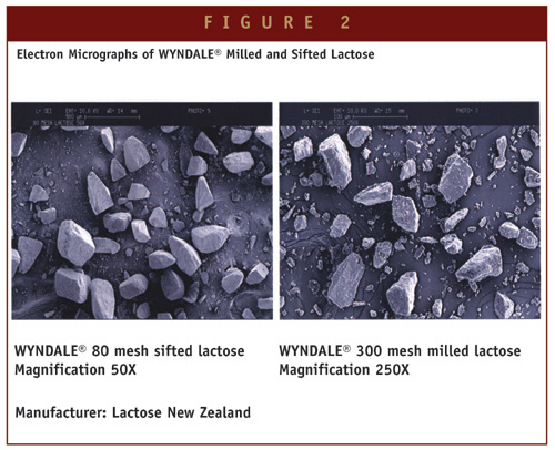Lactose in Pharmaceutical Applications