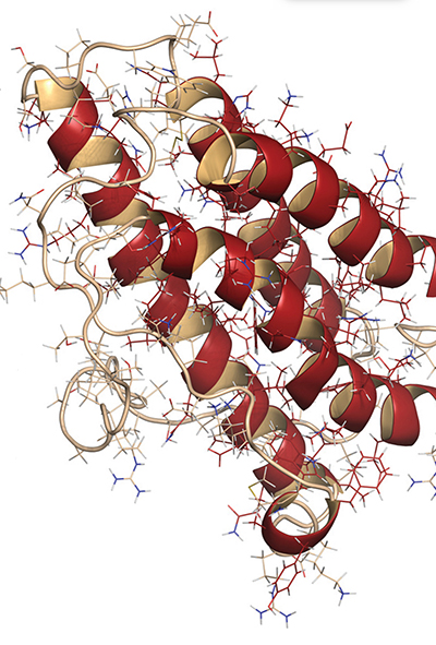 CHARACTERIZATION CORNER - From Dilute Sample to Clinically ...