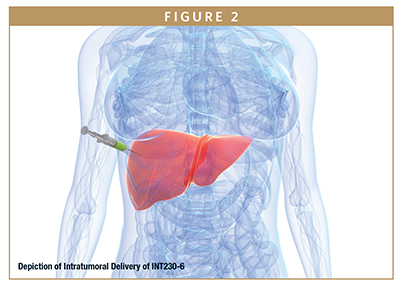 INTRATUMORAL DELIVERY - Combining Local & Systemic Treatments: Could ...