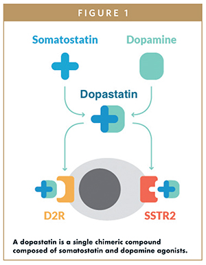 CHIMERIC COMPOUNDS - “Dopastatins”: One Molecule Targeting Two ...