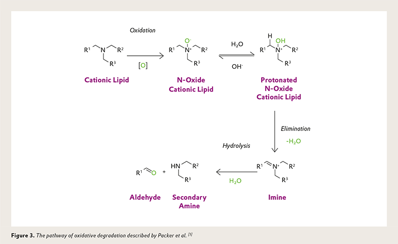 WHITEPAPER - Purity is Paramount: Assessing N-Oxide Impurities in ...