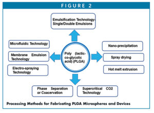 FORMULATION FORUM - PLGA – A Versatile Copolymer for Design ...