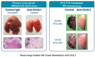Ocean Biomedical, Inc. Celebrates 95% Lung Cancer Tumor Reduction ...