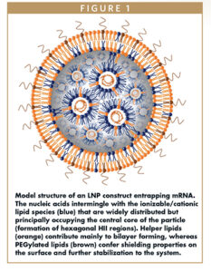 PLATFORM TECHNOLOGY - The PTXΔLNP® Platform: On the Promise of ...