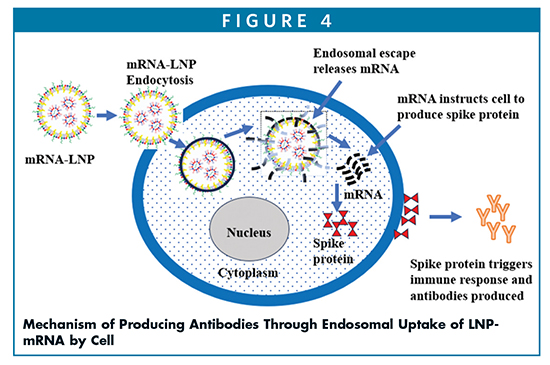 FORMULATION FORUM - Lipid Nanoparticles – Carriers for Nucleic Acids Delivery
