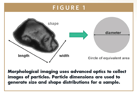 DISSOLUTION TESTING - Exploring the Link Between Particle Size ...