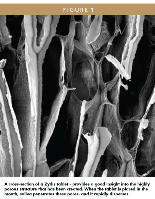 LYOPHILIZATION - The Key to Creating Acceptable & Effective Fast ...